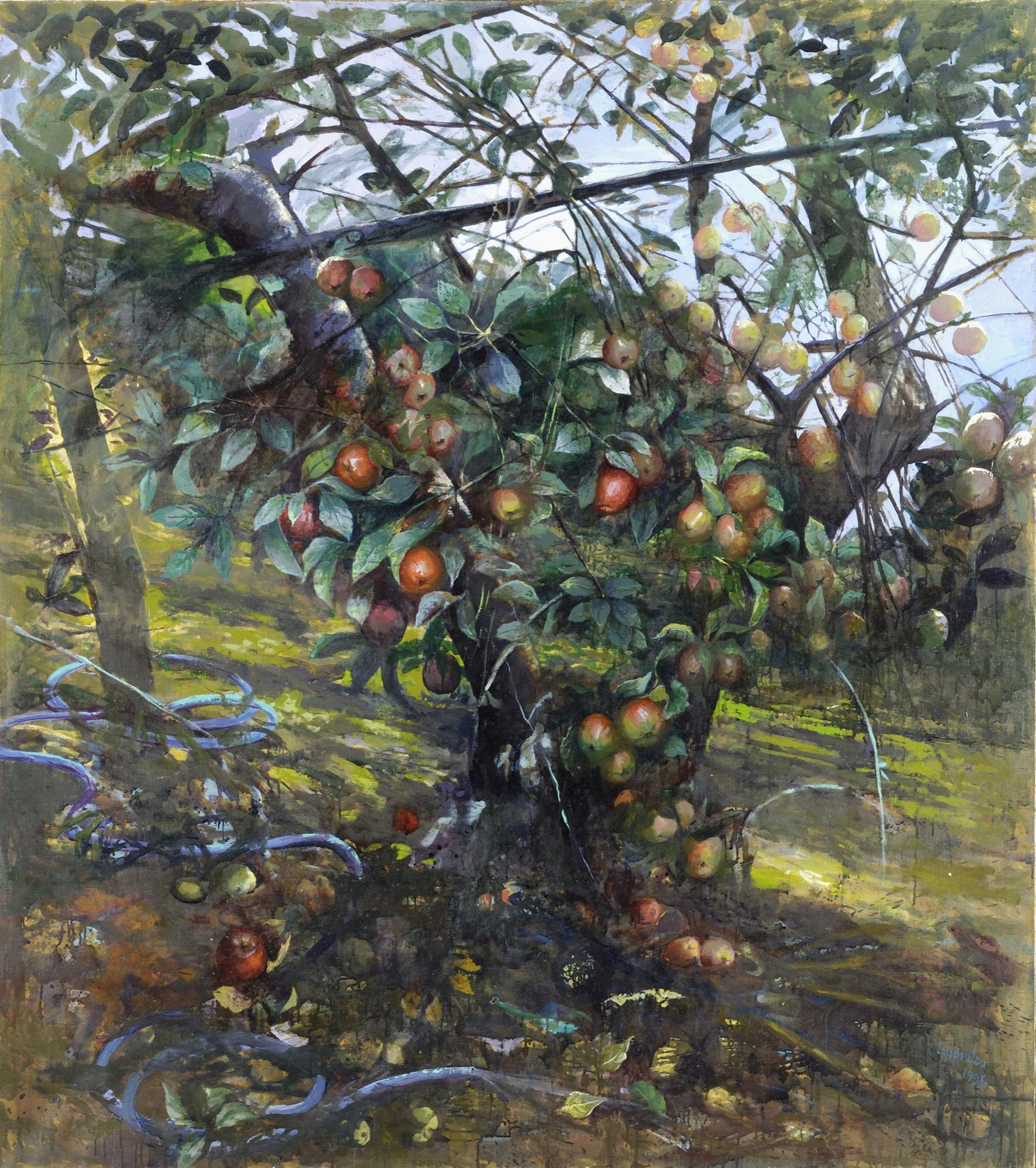 Apple Tree - National Gallery