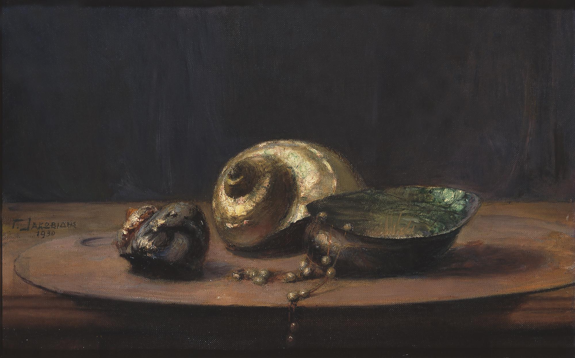 Shells - National Gallery