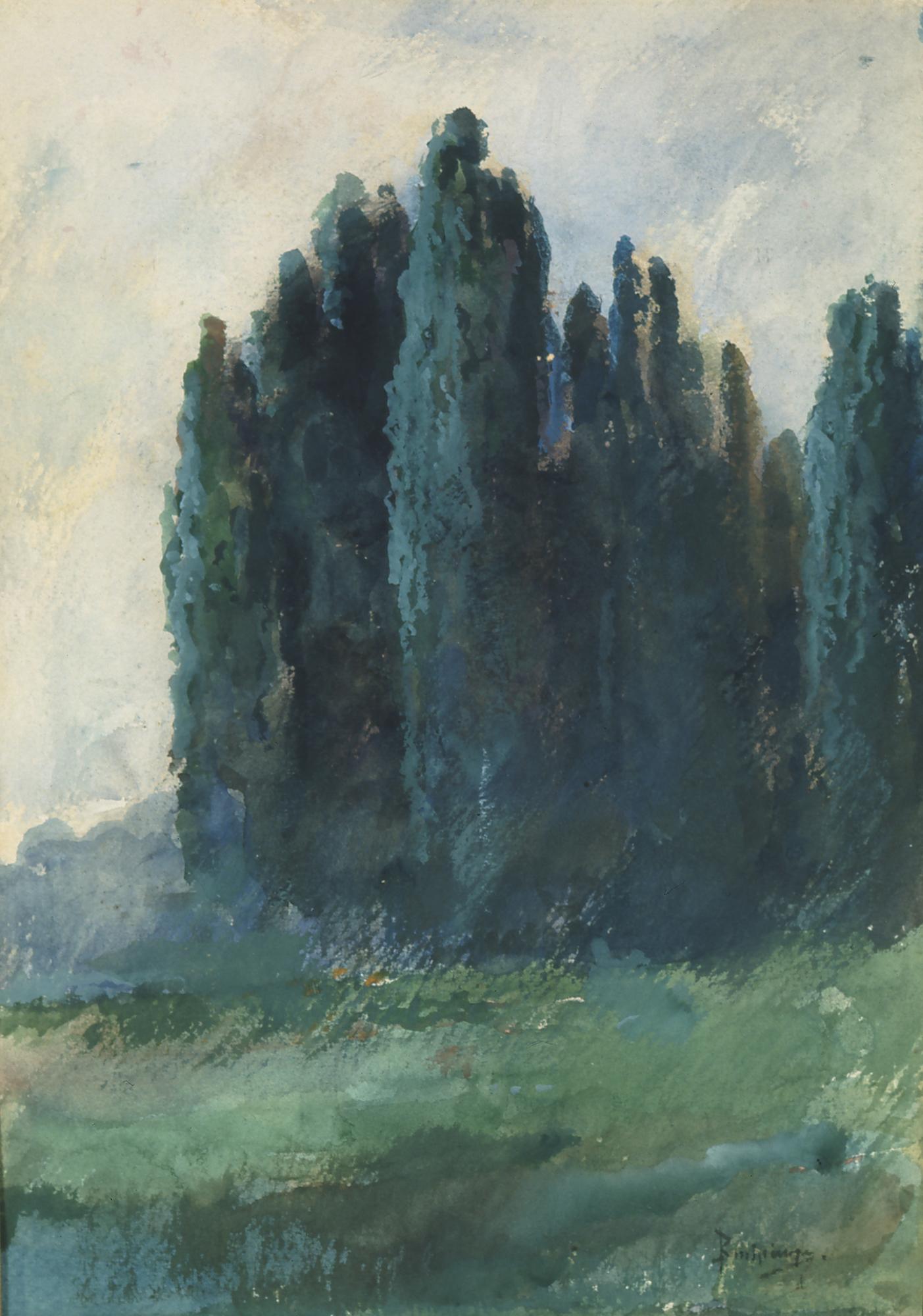 Cypress Trees - National Gallery
