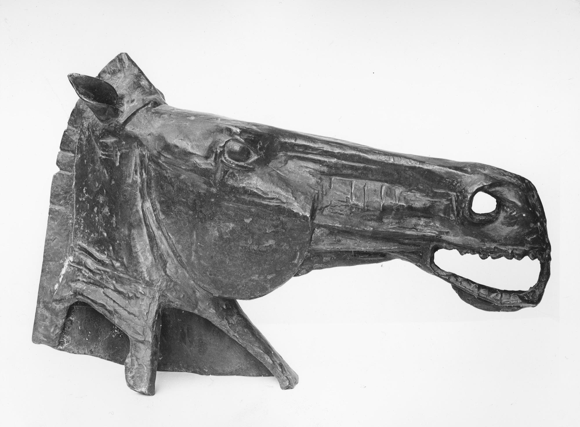 Head of a Horse - National Gallery