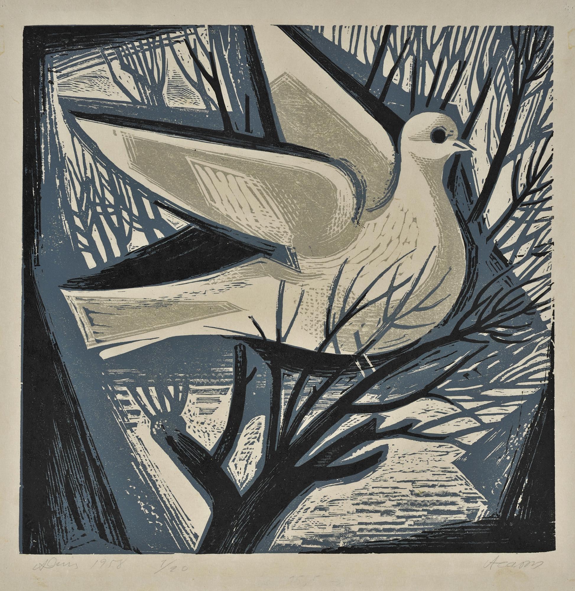 Pigeon - National Gallery