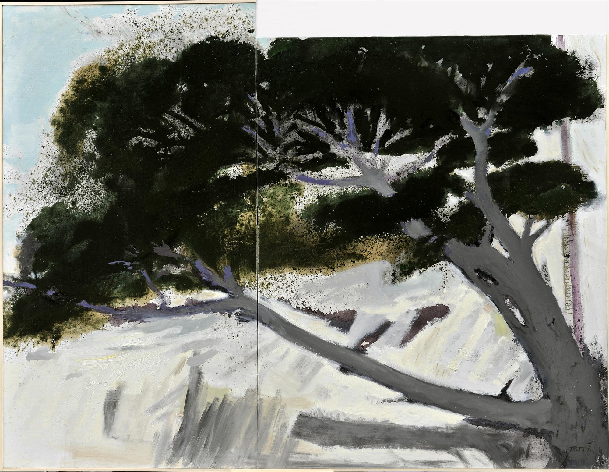 Pine Tree - National Gallery