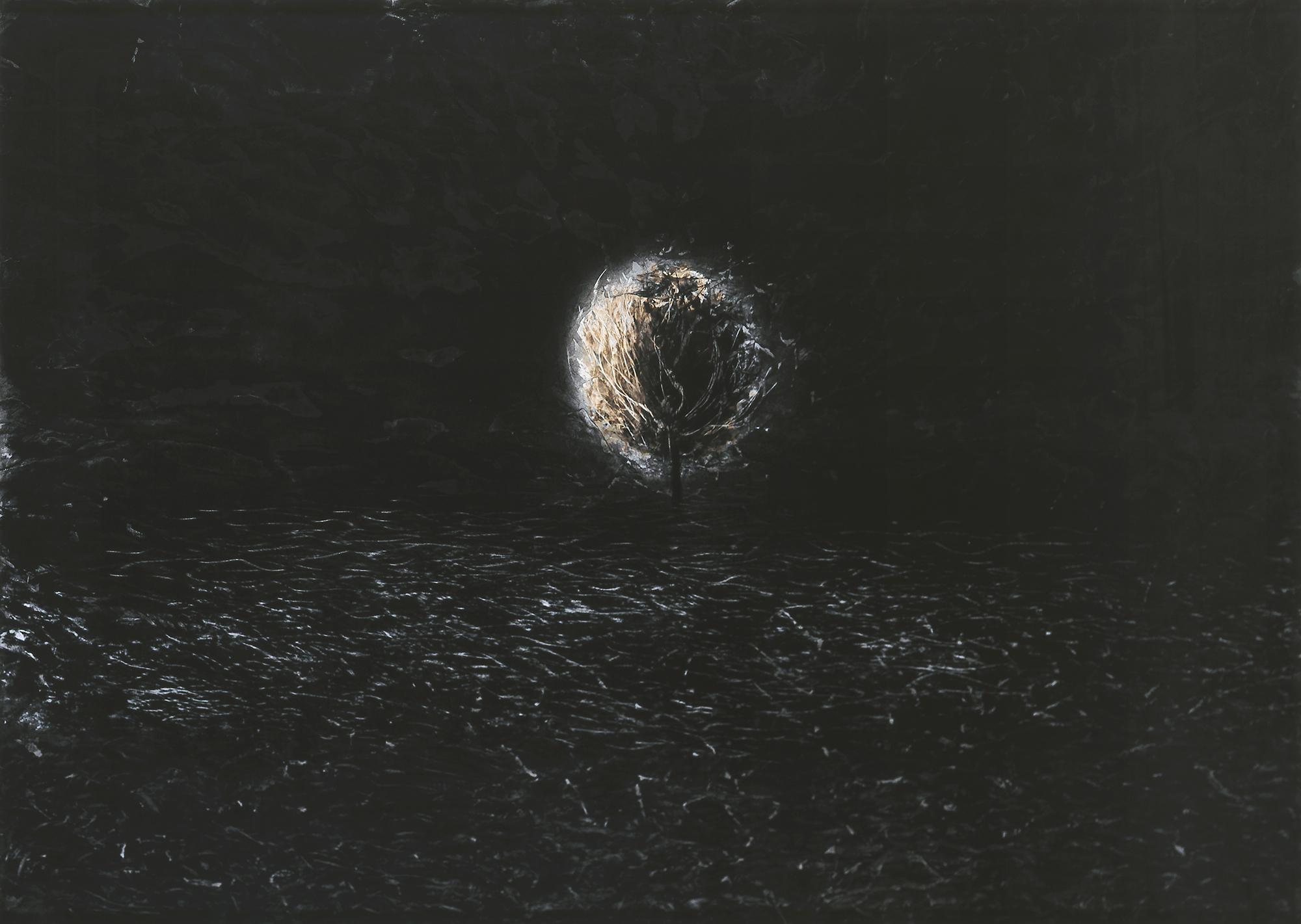 Tree, No 13 - National Gallery
